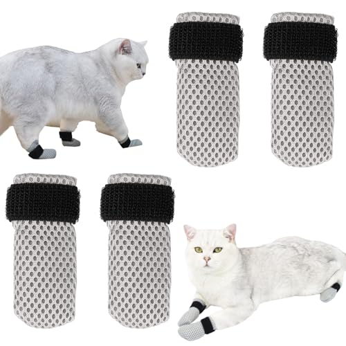 Cat Shoes – The 15 best products compared - Wild Explained