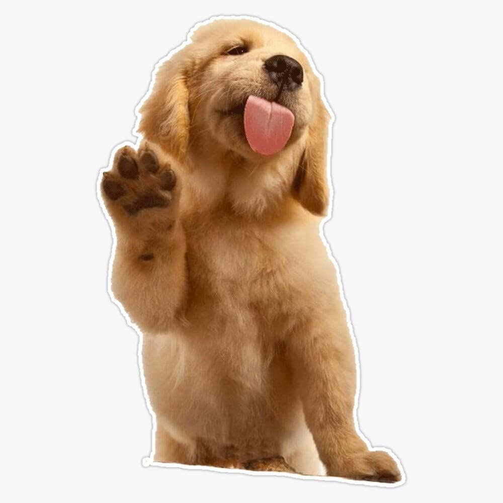 Amazon.com - Toogod Riders Golden Retriever Car Sticker Window Decal ...