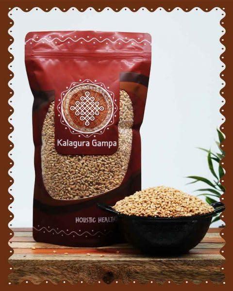 Kalagura Gampa Whole Wheat (Godhumalu)(SP Method) (1000 Grams) : Amazon ...