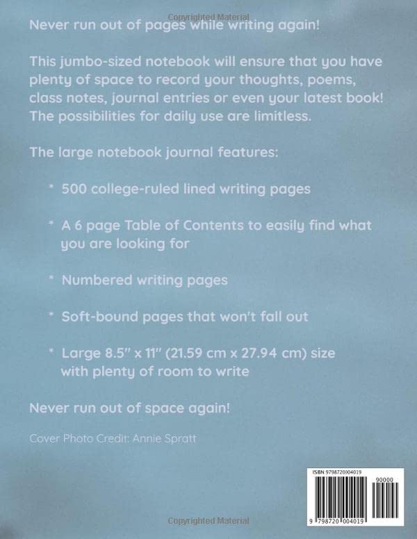 Giant Notebook: 8.5″ x 11″ Peonies, 500 College-Ruled Lined Pages with ...