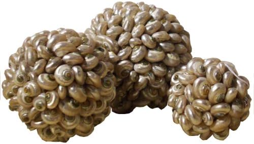 Amazon.com: CBK Home Seashell-Covered Spheres with Natural Pearlized ...