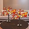 Amazon.com: Lighted Fall Maple Tree, Livelit 18 Inch LED Fall Tree ...
