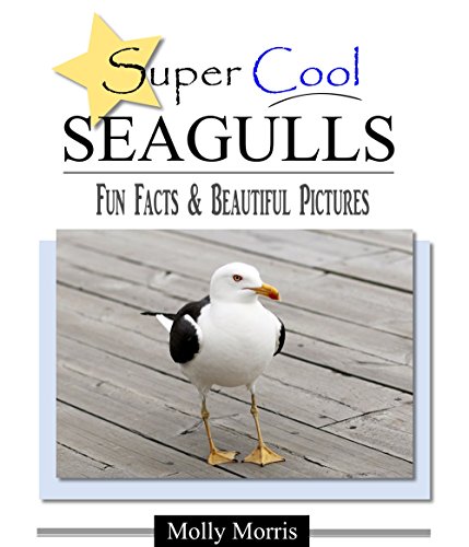 Super Cool Seagulls: Fun Facts & Beautiful Pictures - Kindle edition by ...