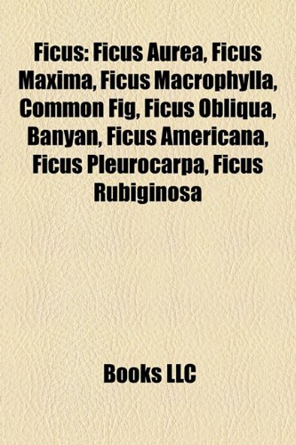Ficus: Ficus aurea, Ficus maxima, Common fig, Banyan, Figs in the Bible, Ficus americana, Sacred ...
