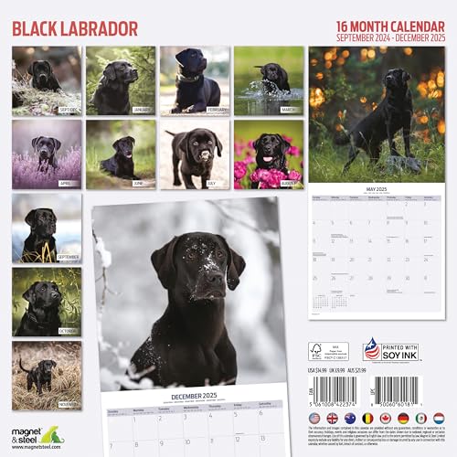 Labrador Black 2025 Traditional Calendar - BigaMart