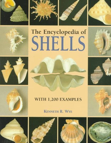 The Encyclopedia of Shells: Wye, Kenneth R.: 9781577150299: Amazon.com ...