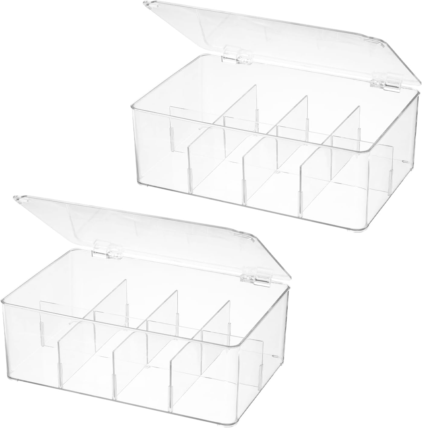 Amazon.com: OMNISAFE Divided Clear Plastic Organizer Bin with Hinge Lid ...