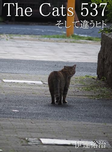 『The Cats 537巻 (Kindle版)』｜感想・レビュー - 読書メーター