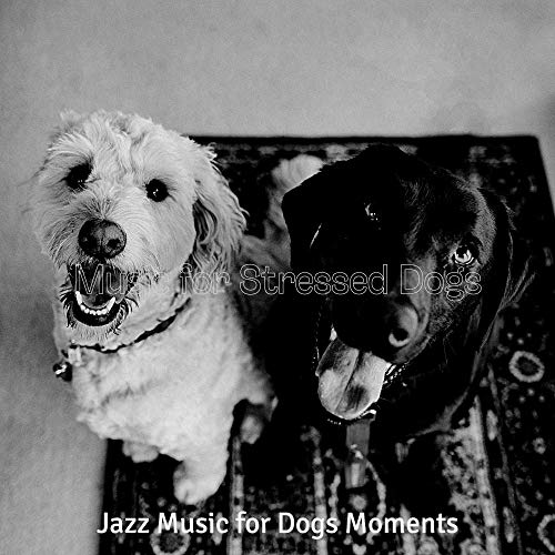 Amazon Music UnlimitedでJazz Music for Dogs MomentsのMusic for Stressed Dogsを