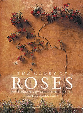 Glory of Roses: Lacy, Allen, Baker, Christopher: 9781556704482: Books ...