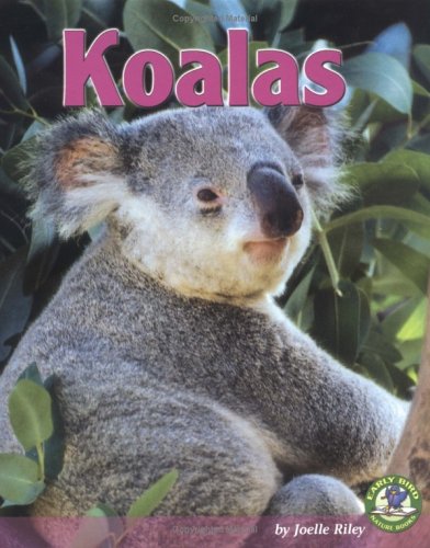 Koalas (Early Bird Nature Books): Riley, Joelle: 9780822528708: Amazon.com: Books
