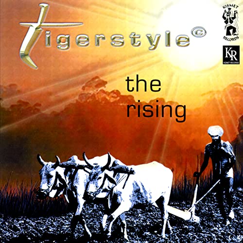 Play The Rising by Tigerstyle on Amazon Music