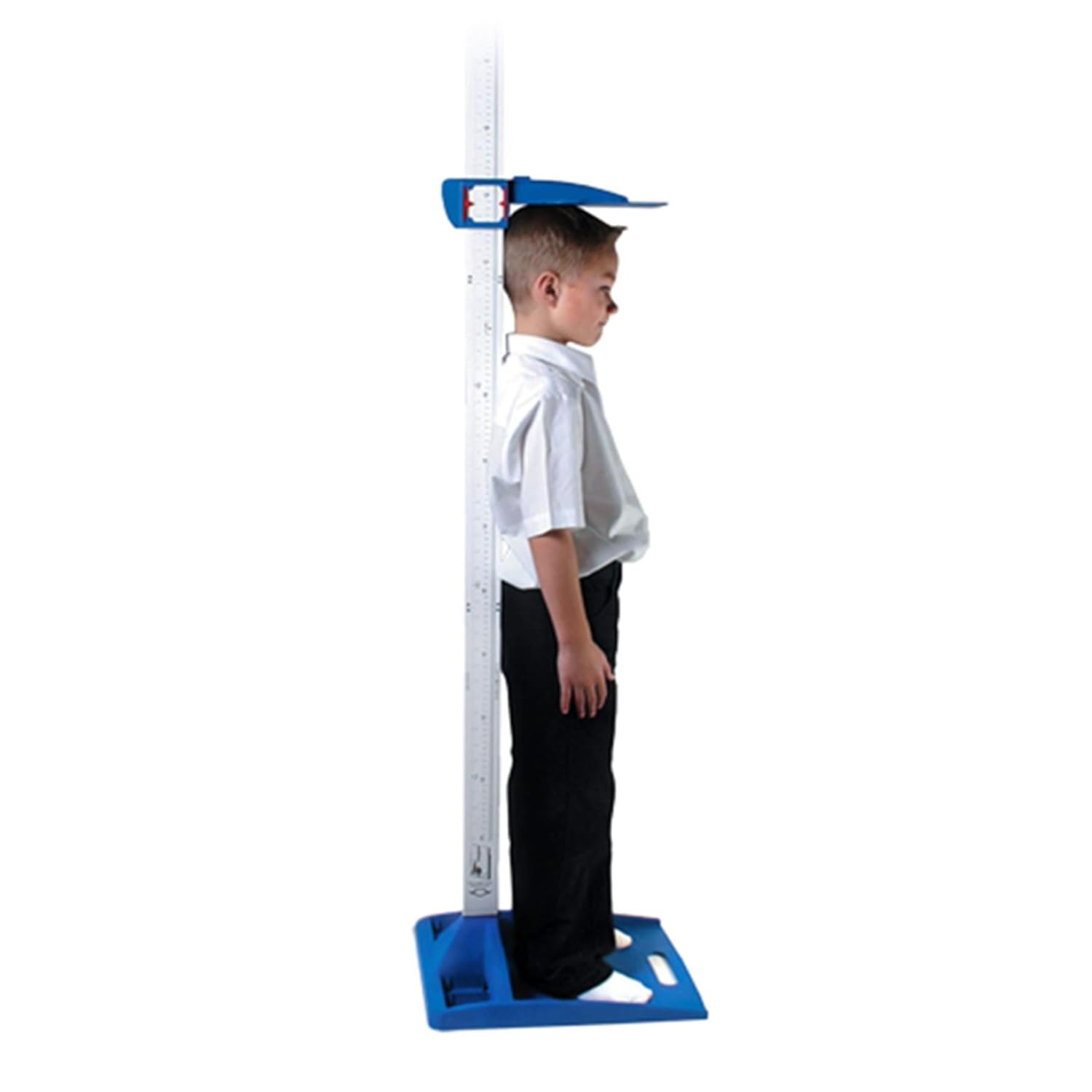Amazon.com: Hopkins Medical Products Road Rod Portable Stadiometer ...