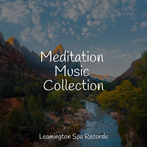 Amazon Music - Relaxation Music Guru, Mother Nature FX, Crying & Colic ...