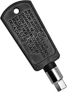 Amazon.com: Donminggl 5304485424 Freezer Door Lock Key for Upright ...