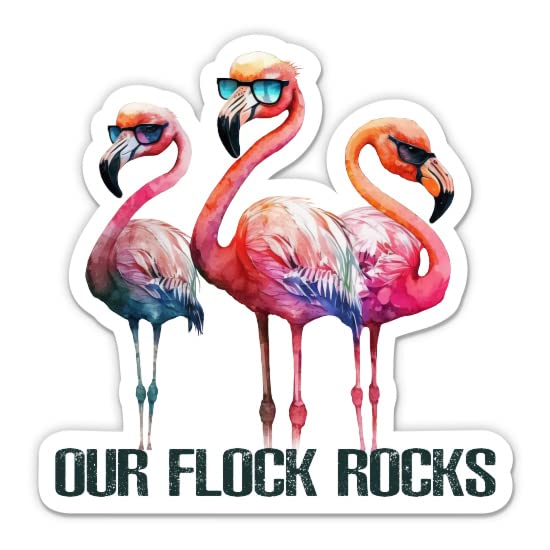Amazon.com - Our Flock Rocks Stickers - 2 Pack - Waterproof Vinyl for ...