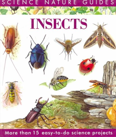 Amazon | Insects of North America (Science Nature Guides) | McGavin ...