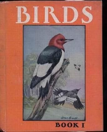 Birds Book I : King, Julius, Illustrated by Brooks, Allan: Amazon.com ...