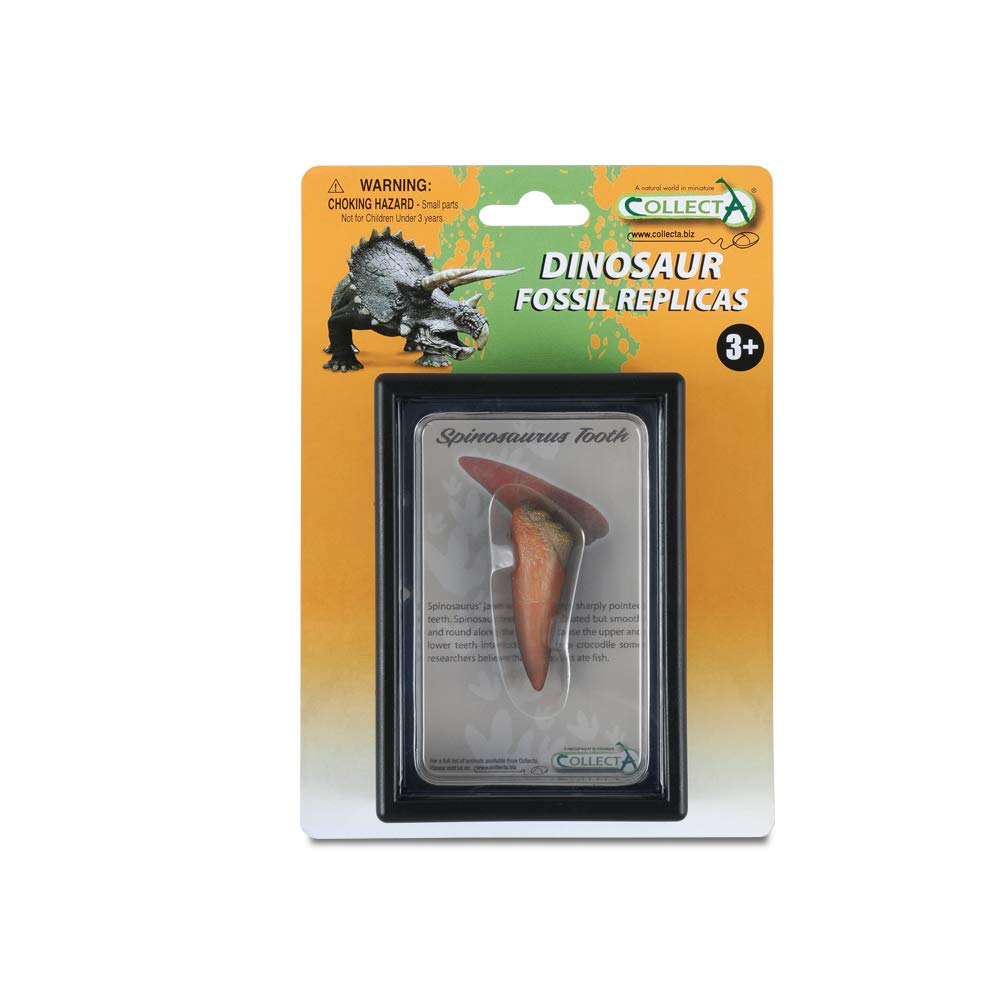Collecta Prehistoric Life Tooth Of Spinosaurus Box Set Paleontologist ...