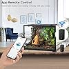 Moistenland WiFi Enabled Reptile Mister for Reptile Terrariums, Reptile ...