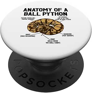Amazon.com: Anatomy Of A Ball Python Owner Ball Python Lover PopSockets ...