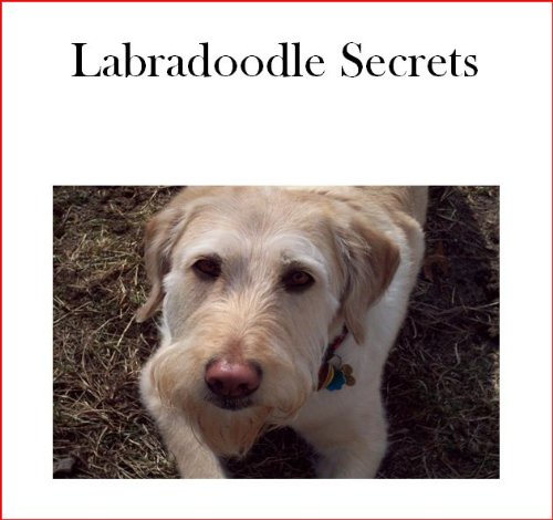 Labradoodle Secrets: How to Raise Happy and Healthy Labradoodles ...