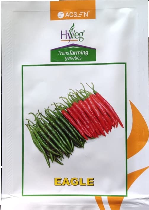 Hyveg, Chilli, Eagle -10 gm : Amazon.in: Grocery & Gourmet Foods