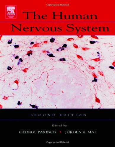 The Human Nervous System: 9780125476263: Medicine & Health Science ...