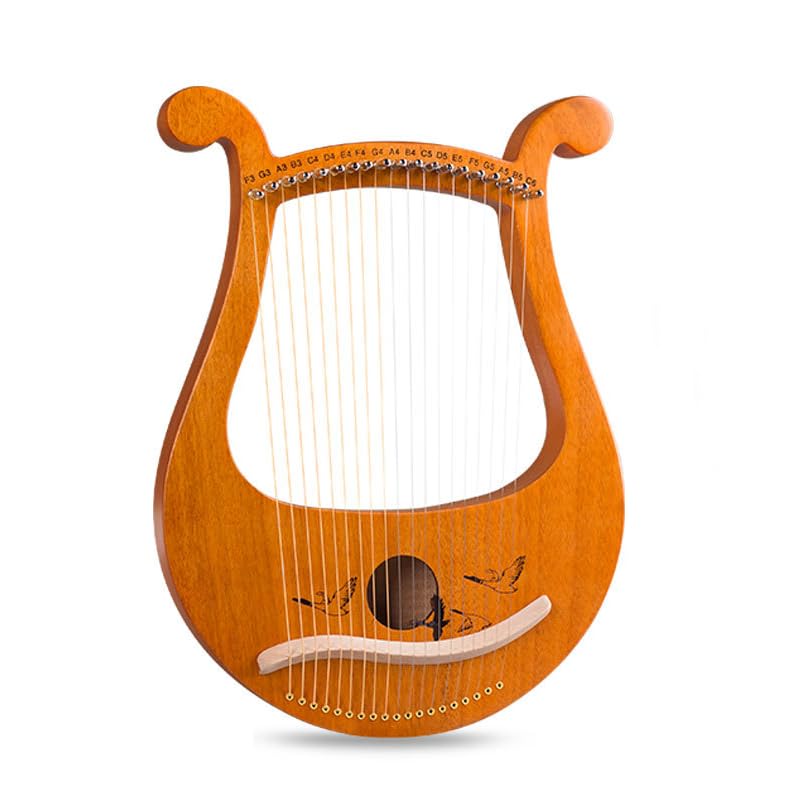 Amazon.co.jp Best Sellers: The most popular items in Stringed ...