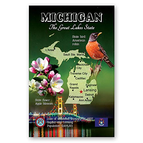 Amazon.com : SIXNEA MICHIGAN MAP postcard set of 20 identical postcards ...