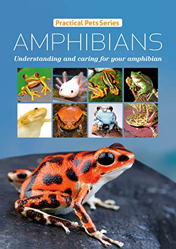 Amphibians: Understanding and caring for your amphibian (Practical Pets ...