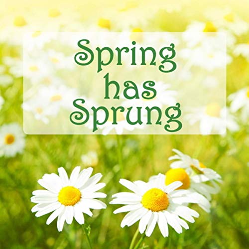 Spring has Sprung by Various artists on Amazon Music - Amazon.co.uk