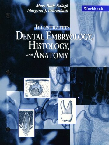 Workbook for Illustrated Dental Embryology, Histology, and Anatomy ...