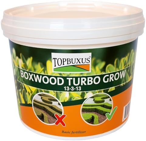 Amazon.com : TOPBUXUS Boxwood Turbo Grow - Professional Boxwood ...