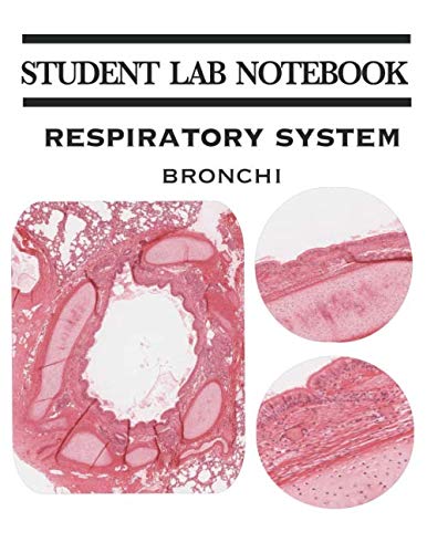 Student Laboratory Notebook : Respiratory system - Bronchi: School ...