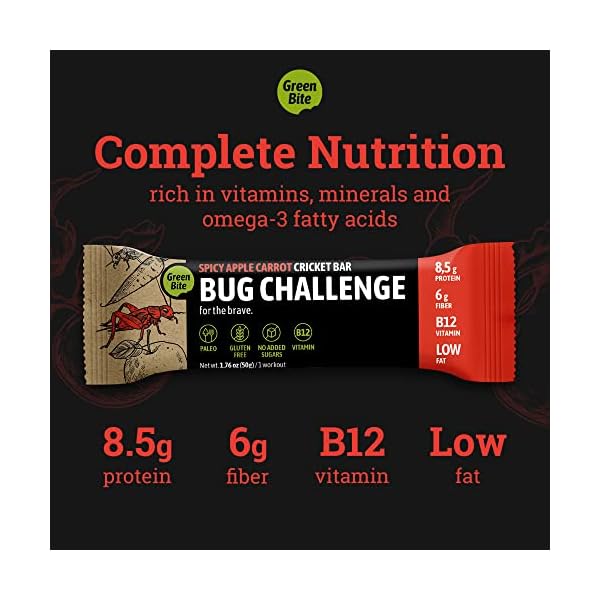 Bug Challenge Cricket Bar, Fit and Active Protein Bars, Nutritious ...