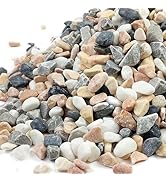 Amazon.com: FANTIAN 20 lbs Natural River Rocks Mexican Beach Pebbles, 2 ...