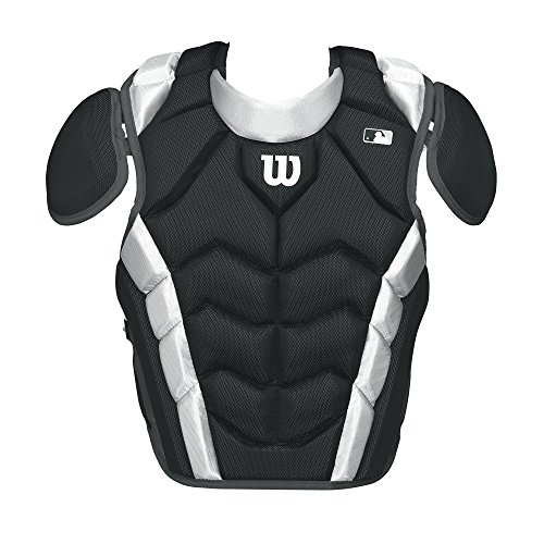 The 30 Best Baseball & Softball Catcher Chest Protectors of 2026 ...