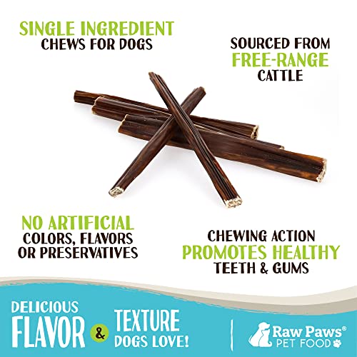Raw Paws Beef Gullet Sticks for... - Labradoodles By Cucciolini