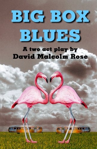 Big Box Blues: Rose, David Malcolm: 9781482313079: Amazon.com: Books