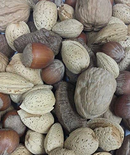 Amazon.com: Mixed Nuts in Shell | Raw - 100% Natural | 3 lb | Jumbo ...