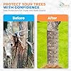 Amazon.com : XQUZITE Tree Protectors - Trunk and Bark Guard Protection ...