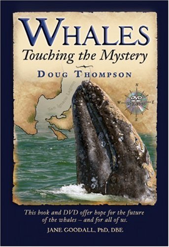 Whales: Touching the Mystery: Thompson, Doug: 9780939165551: Amazon.com ...