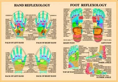 Hand & Foot Reflexology - A2: Buy Online at Best Price in Egypt - Souq ...