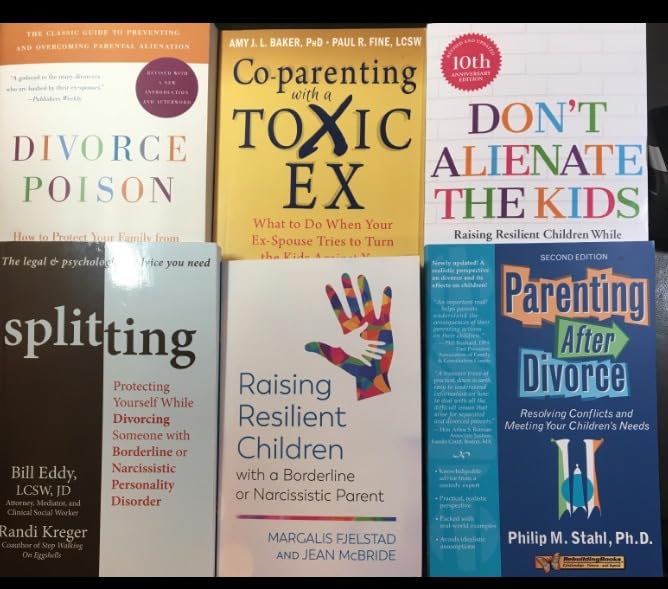 Amazon.com: Empowered Co-Parenting With A Narcissistic-Ex: Setting ...