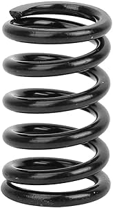 Amazon.com: WQAPVHBG Noiseless Tremolo Springs, 1.22in Length Tremolo ...