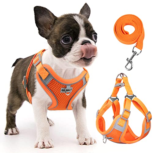 Puppy Harness and Leash Set – The 15 best products compared - Wild ...