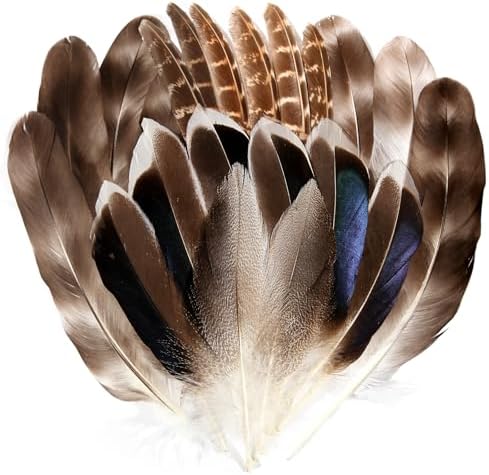 Amazon.com: 5pcs Natural Turkey Feathers 10-12 inch Wild Spotted ...
