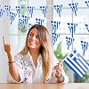 Whaline 30pcs 29.5ft Greek Flag Pennant Banner, Double-Sided, Fade ...