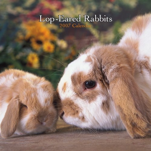 Lop-Eared Rabbits 2007 Calendar: 9781421604657: Amazon.com: Books